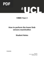 INCAT Sensory Sum Score Guide | PDF | Anatomical Terms Of Location | Finger