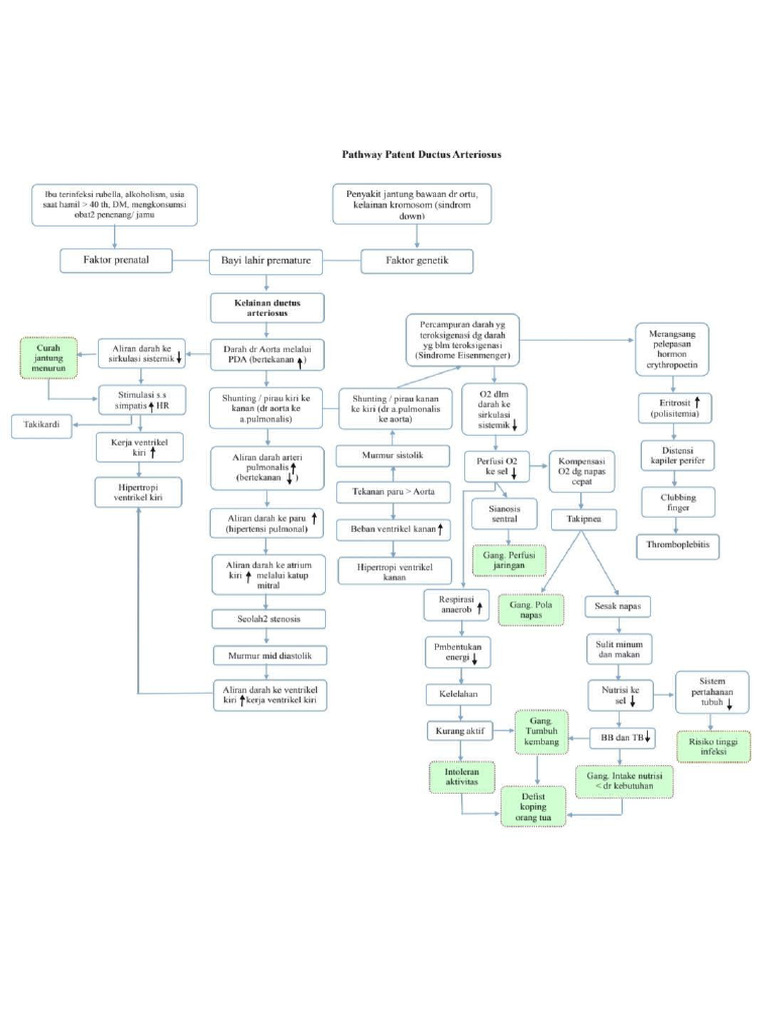 Revisi Woc Pda | PDF