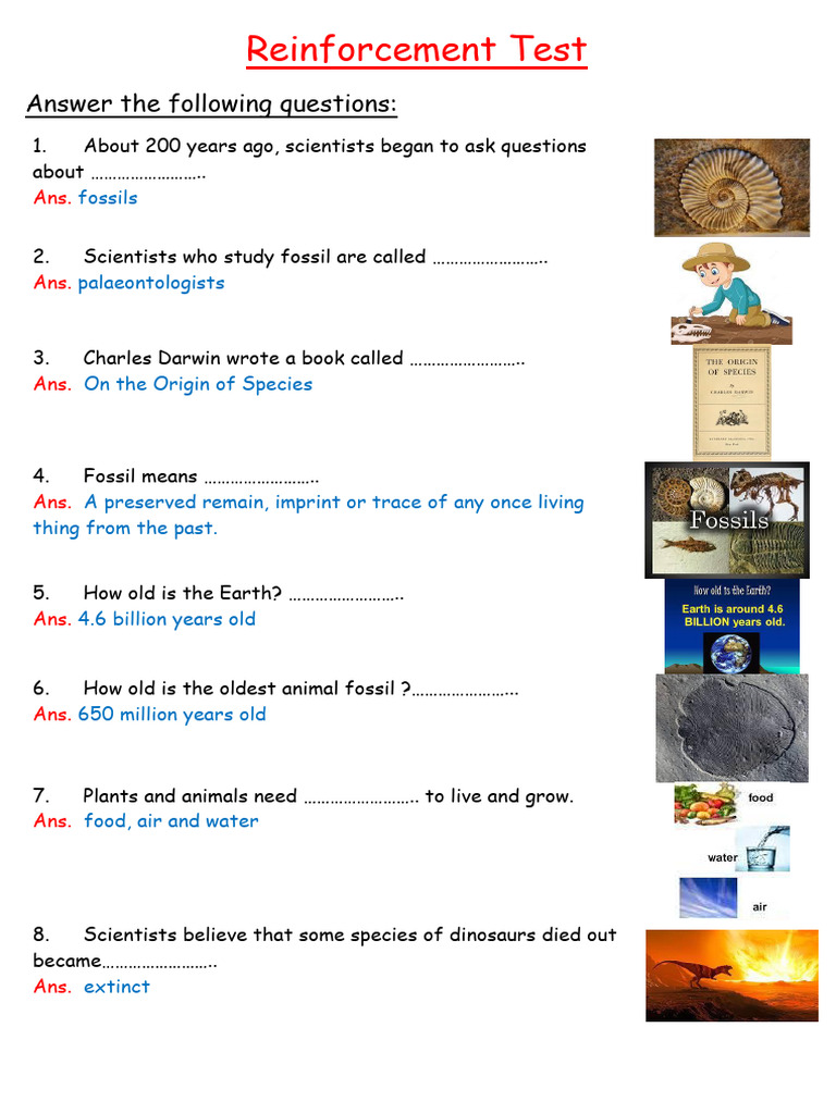 Science Revision Evolution | PDF