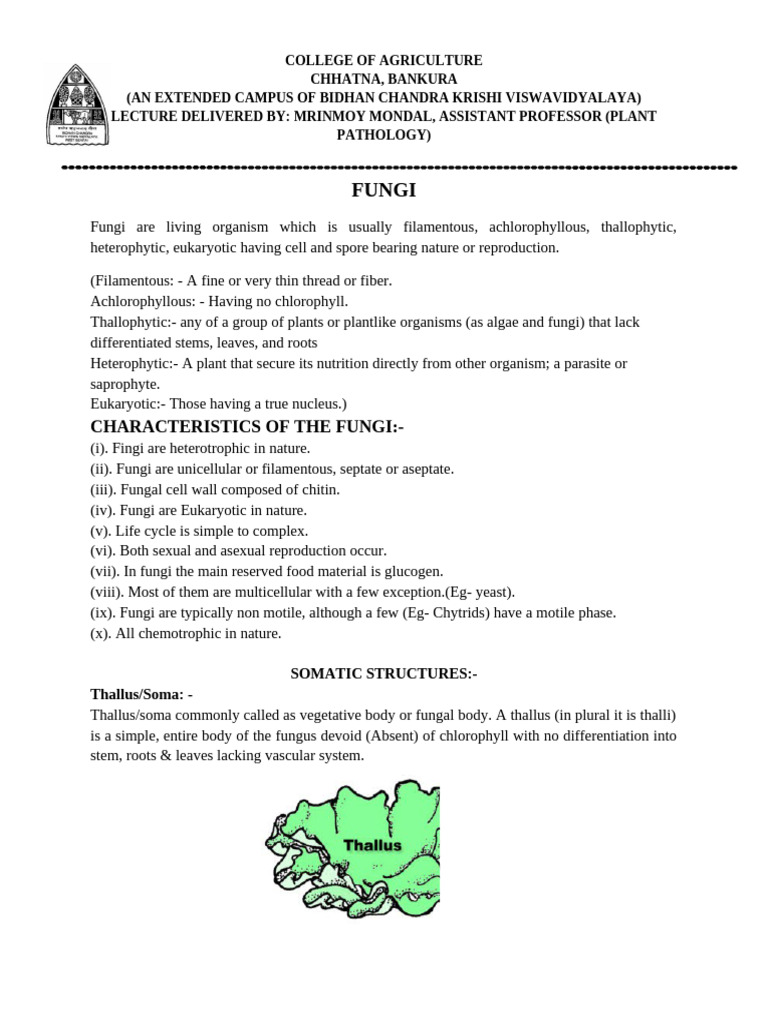 Fungi Pdf Fungus Sexual Reproduction