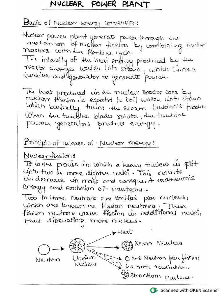 Nuclear Power Plant | PDF