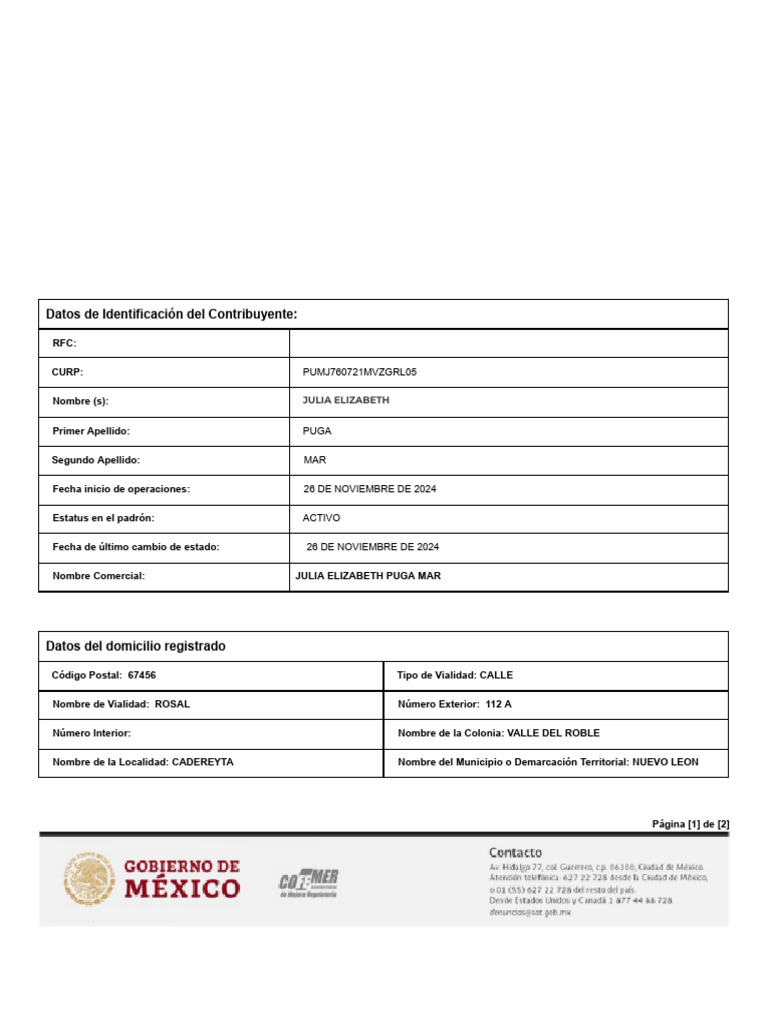 Puga Sin | PDF | Gobierno