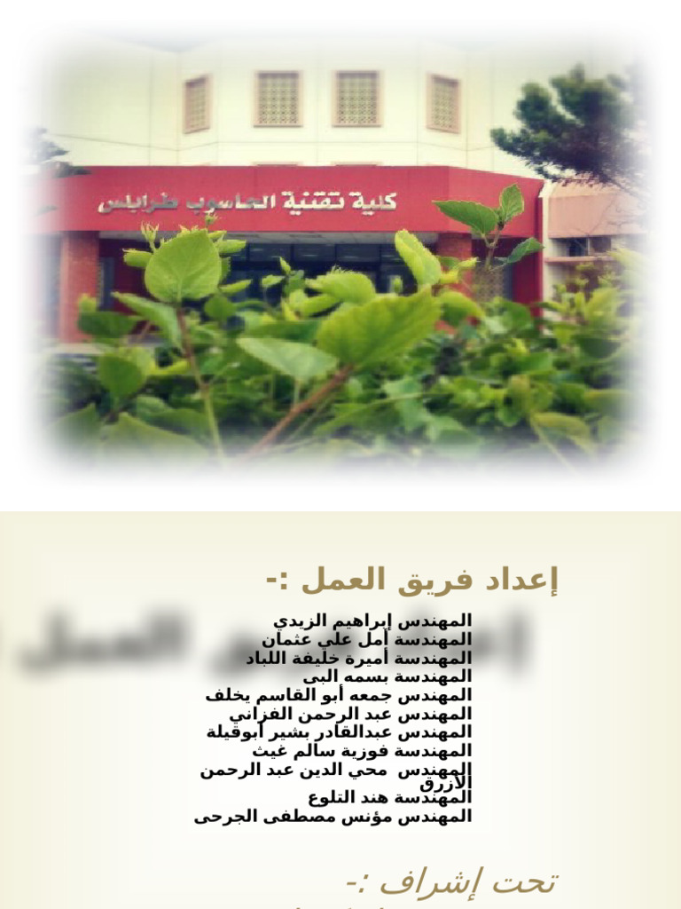 Questionare Presentation | PDF