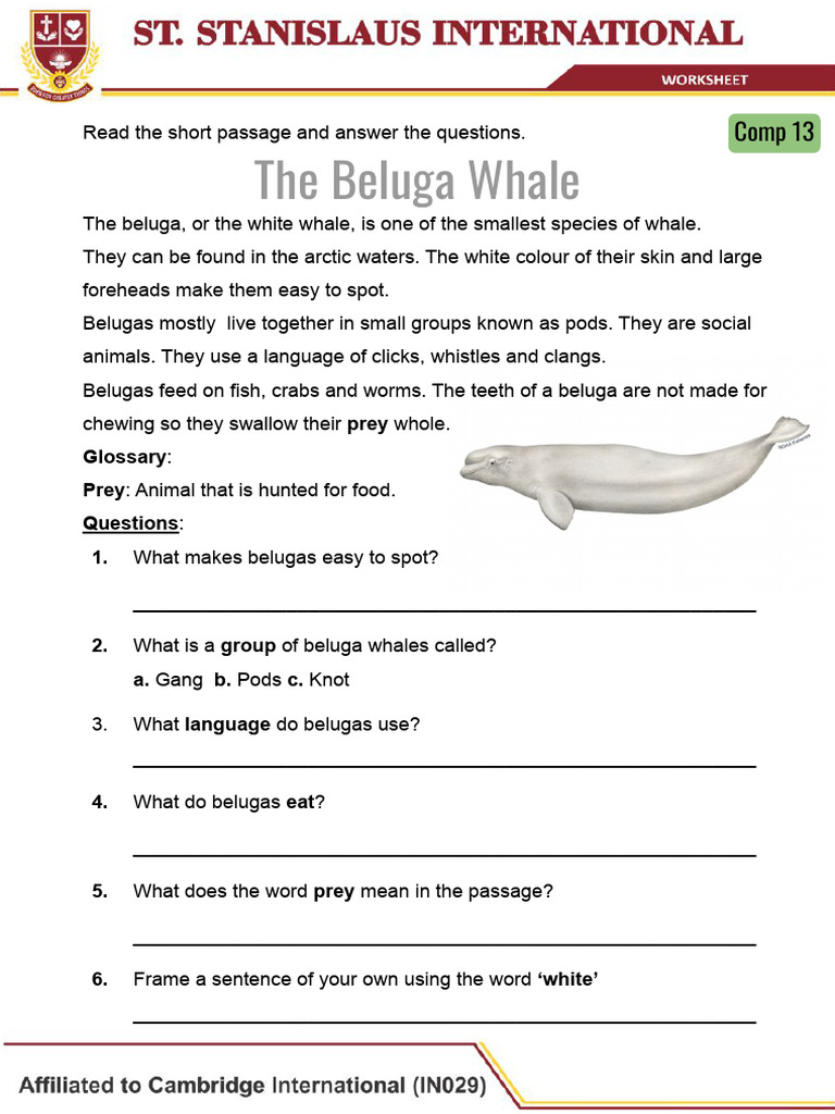 The Beluga Whale | PDF