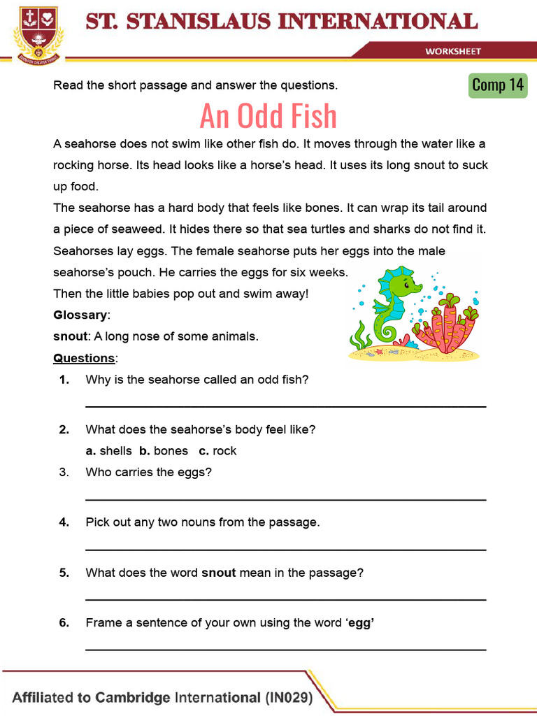 The Unusual Seahorse Explained | PDF