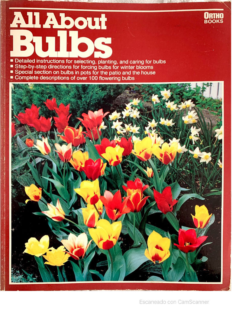 All About Bulbs | PDF