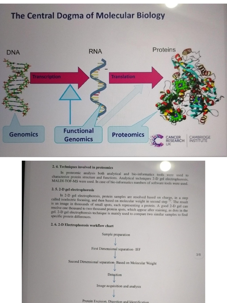 Central Dogma of Molecular Biology | PDF