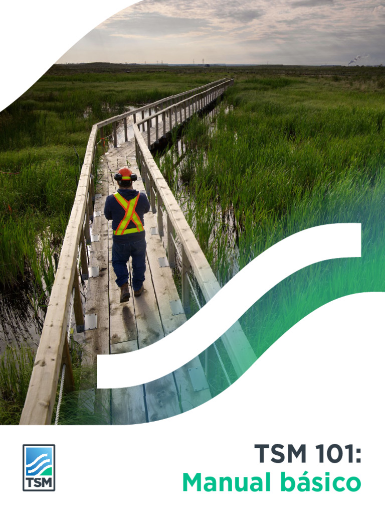 Manual Basico Spark Mac TSM Primer SP | PDF | Minería | Planificación