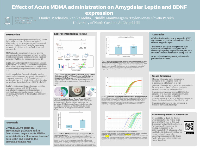 Poster Presentation | PDF | Amygdala | Neuroplasticity