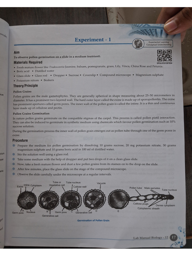 Class 12 Biology Practicals | PDF