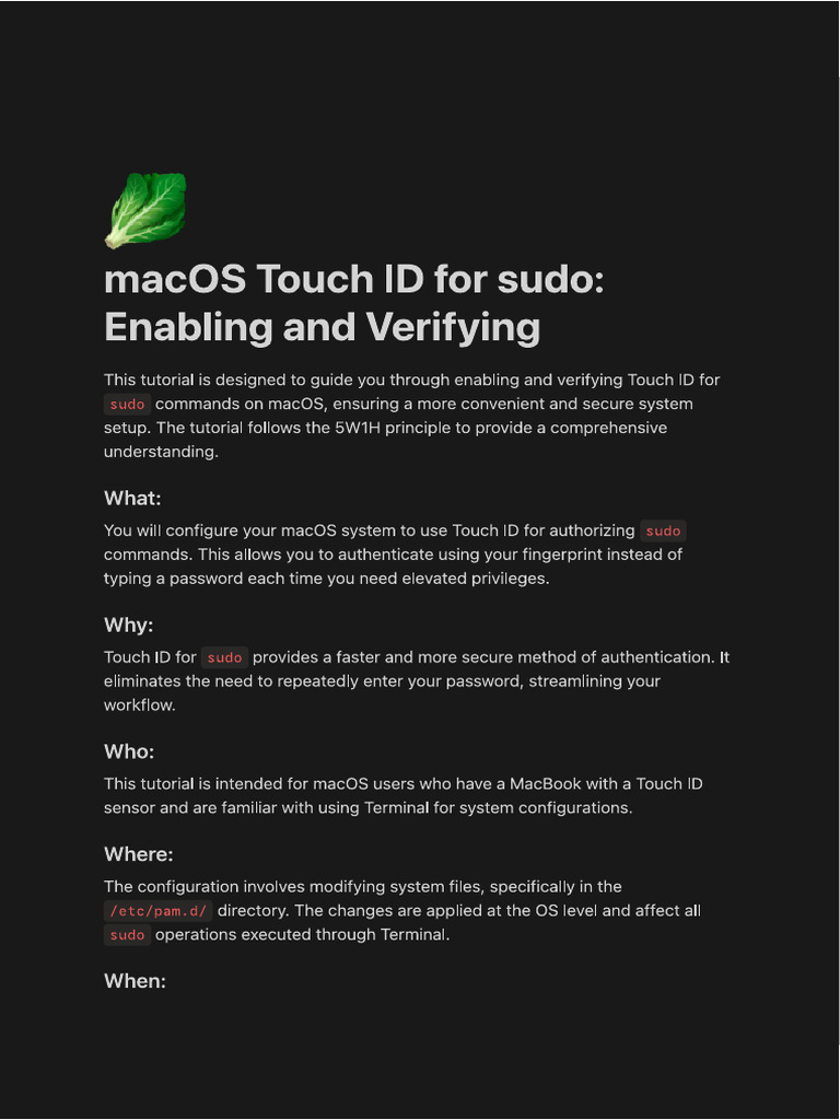 macOS Touch ID For Sudo: Enabling and Verifying | PDF