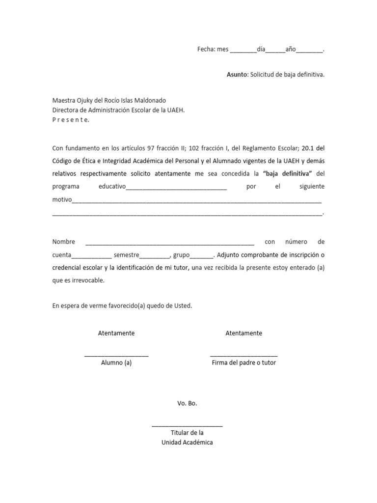 Formato Baja Definitiva | PDF