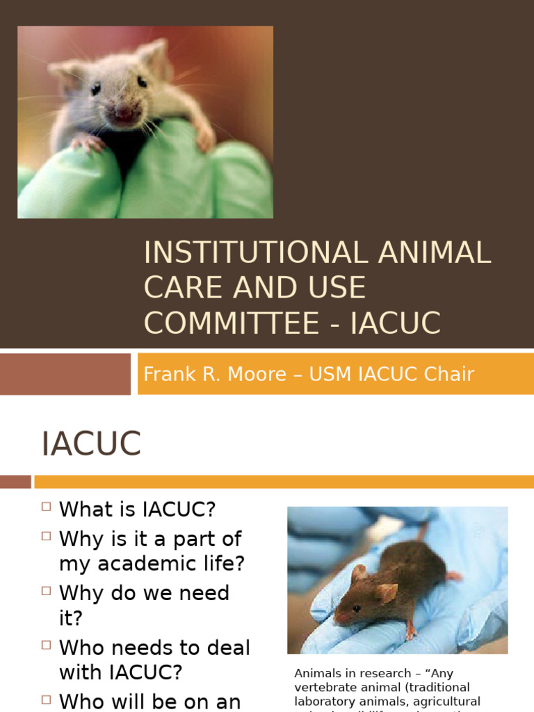 Institutional Animal CARe and Use Committee - IACUC | PDF | Animals And Humans | Animal Welfare