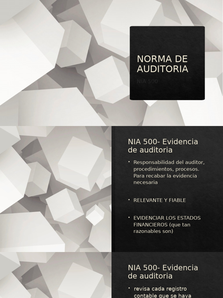 Presentacion Nia 500 | PDF