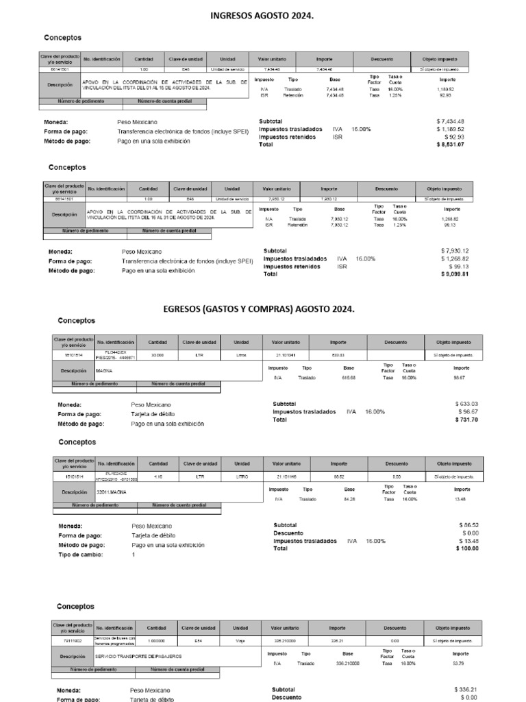 Práctica Iva 31082024 | PDF