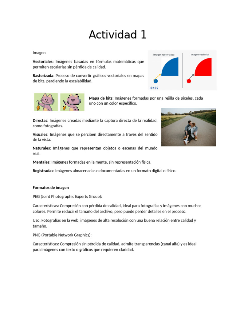 Tipos y formatos de imágenes digitales | PDF | Color | Diseño gráfico