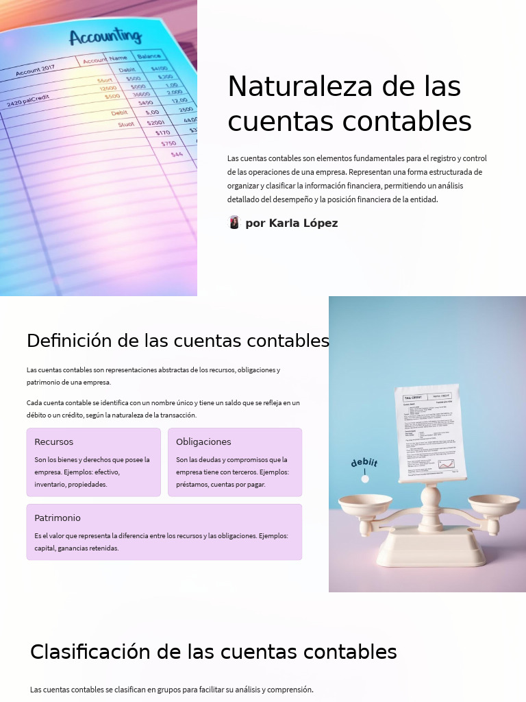Naturaleza de Las Cuentas Contables2 | PDF | Contabilidad | Business
