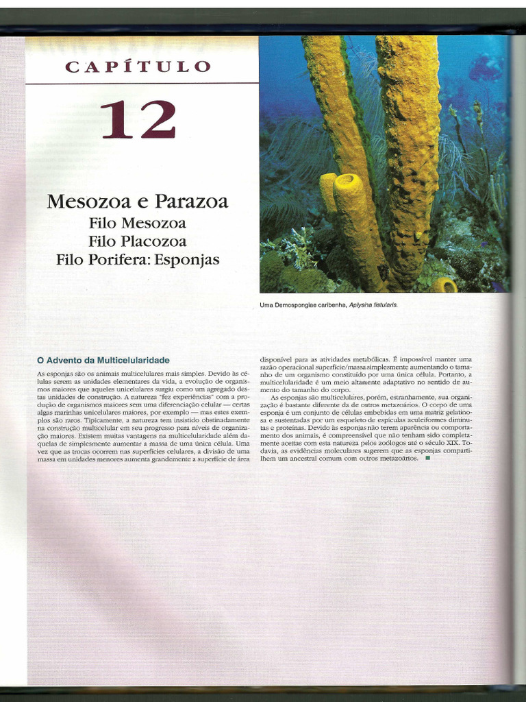 Princípios Integrados de Zoologia - Cap. 12 - Mesozoa e Parazoa | PDF