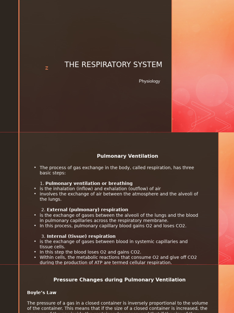The Respiratory System Physio 2023 | PDF | Lung | Respiratory System