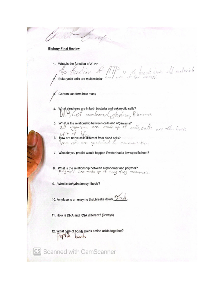 Bio Final | PDF | Cell (Biology) | Dna