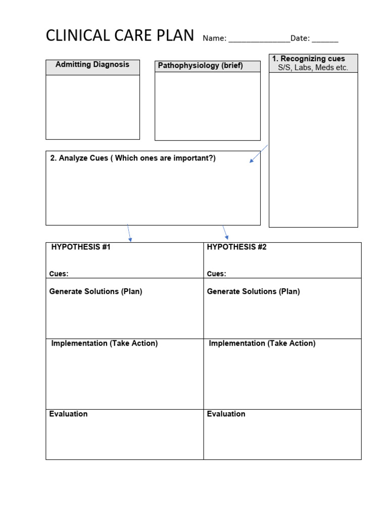 Clinical Care Plan | PDF