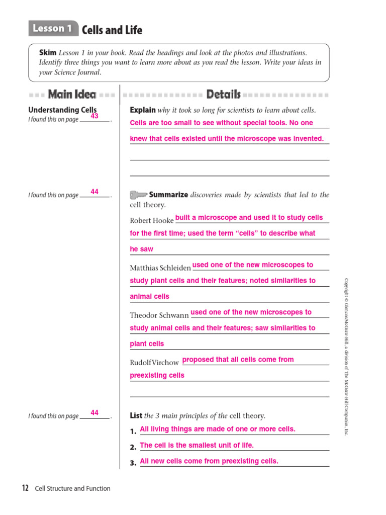 2-1 Science Notebook Answers Cells1 | PDF | Cell (Biology) | Macromolecules