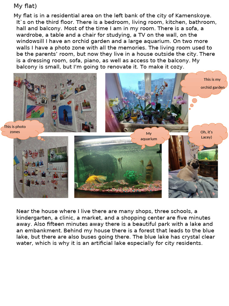 My Flat | PDF