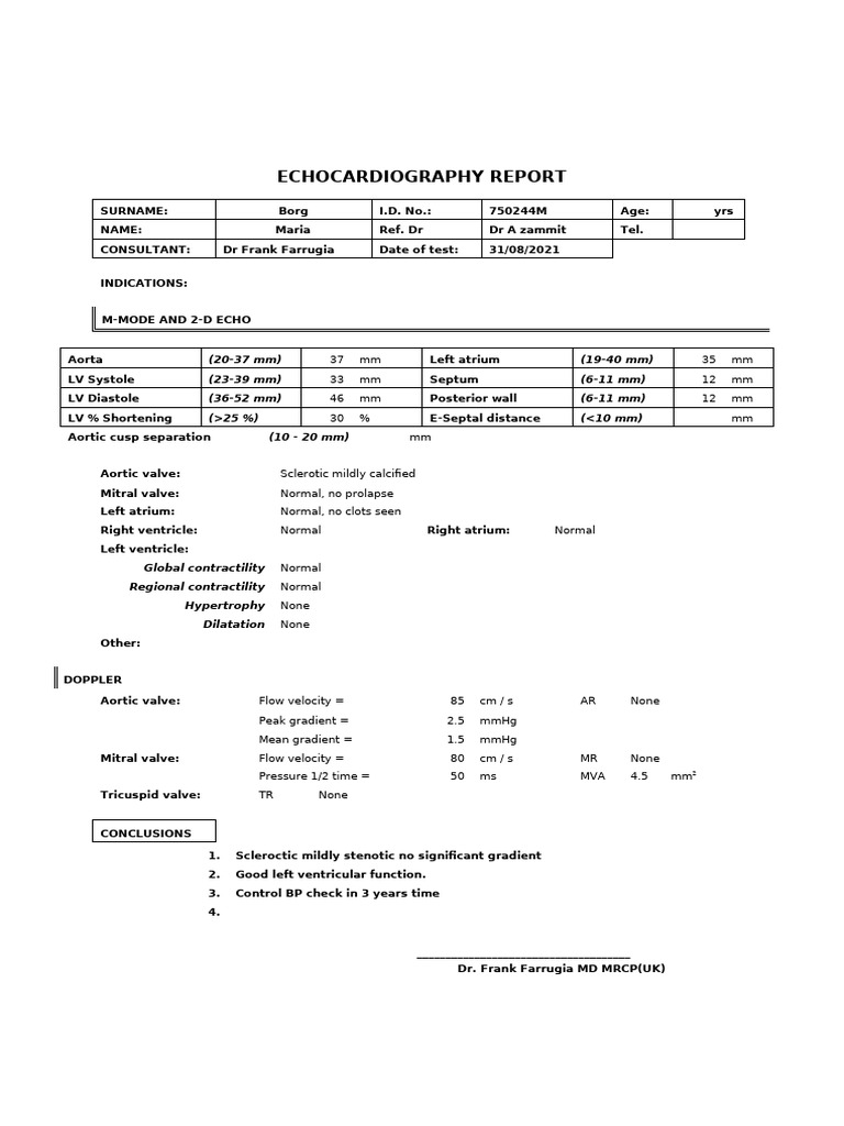 Maria Borg Echo | PDF