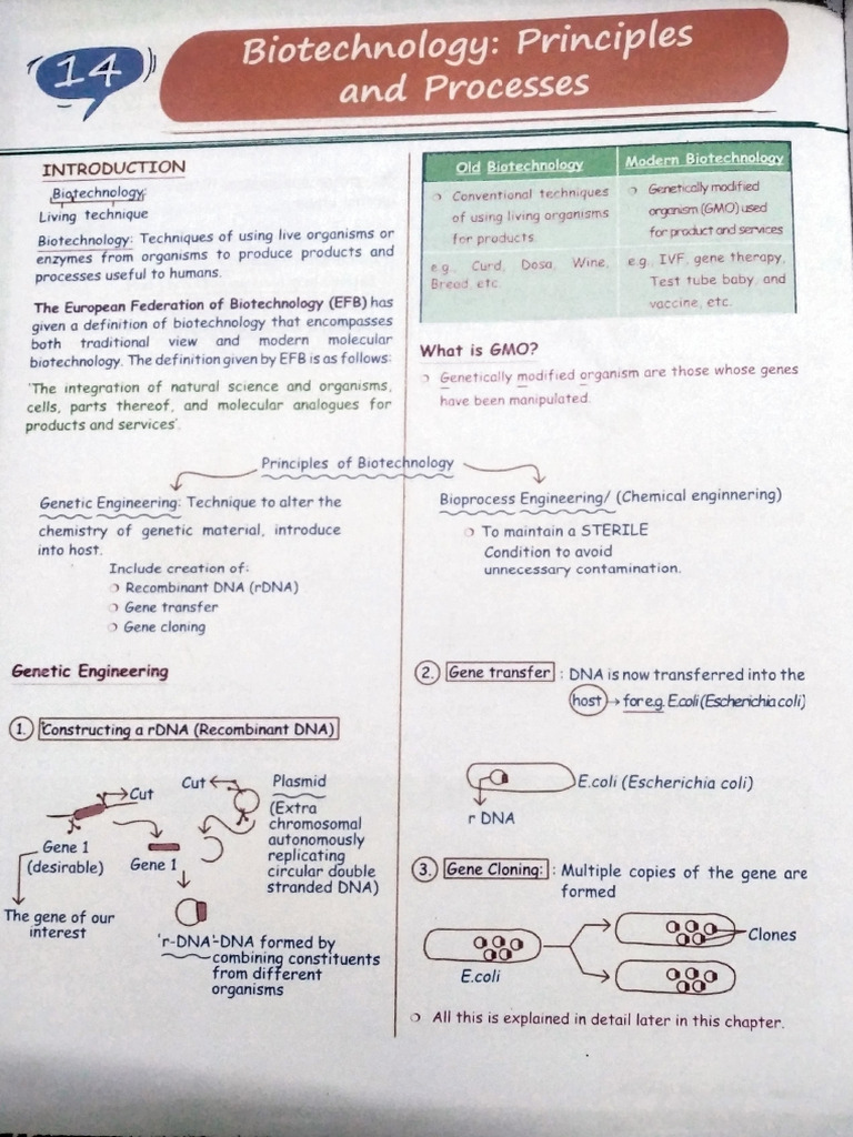 Biotechnology Pdf Vector Molecular Biology Escherichia Coli