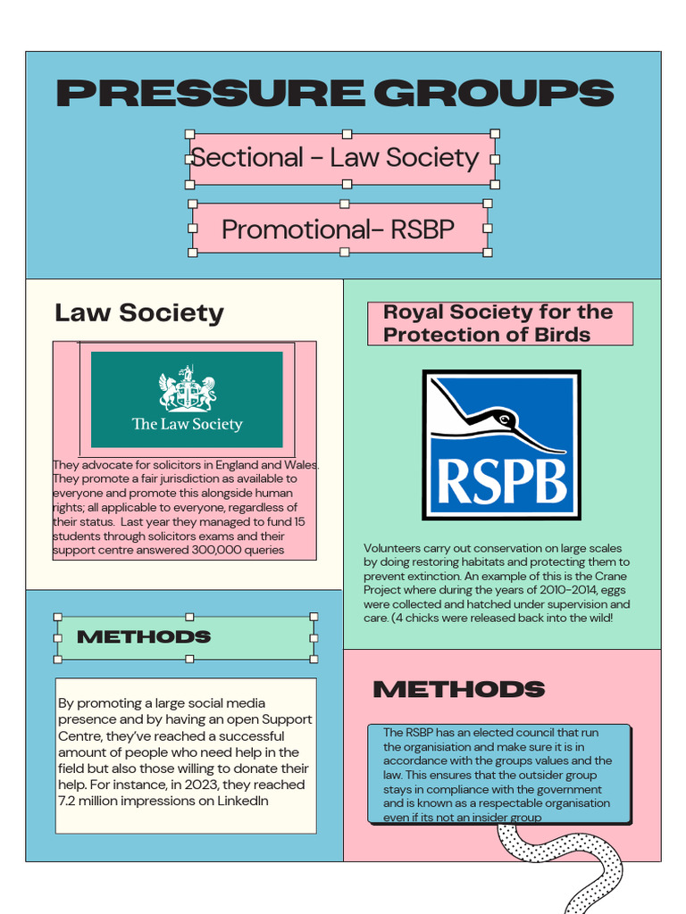 Pressure Groups Poster - ES | PDF