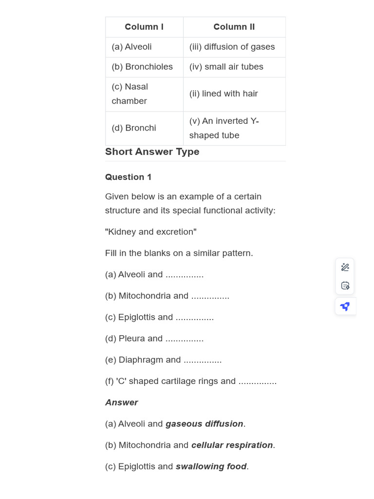 Chapter 14 - The Respiratory System - Solutions For Class 9 ICSE ...
