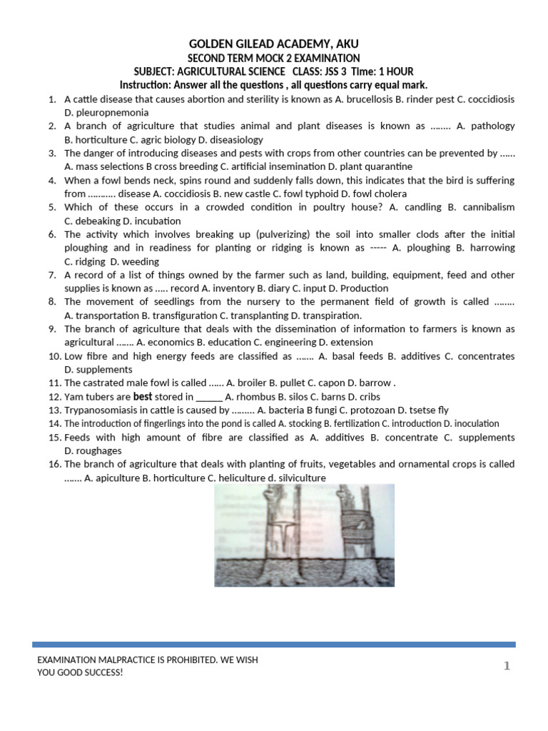 Js 3 Agricultural Science Mock 2 Second Term 2020-2021 | PDF ...