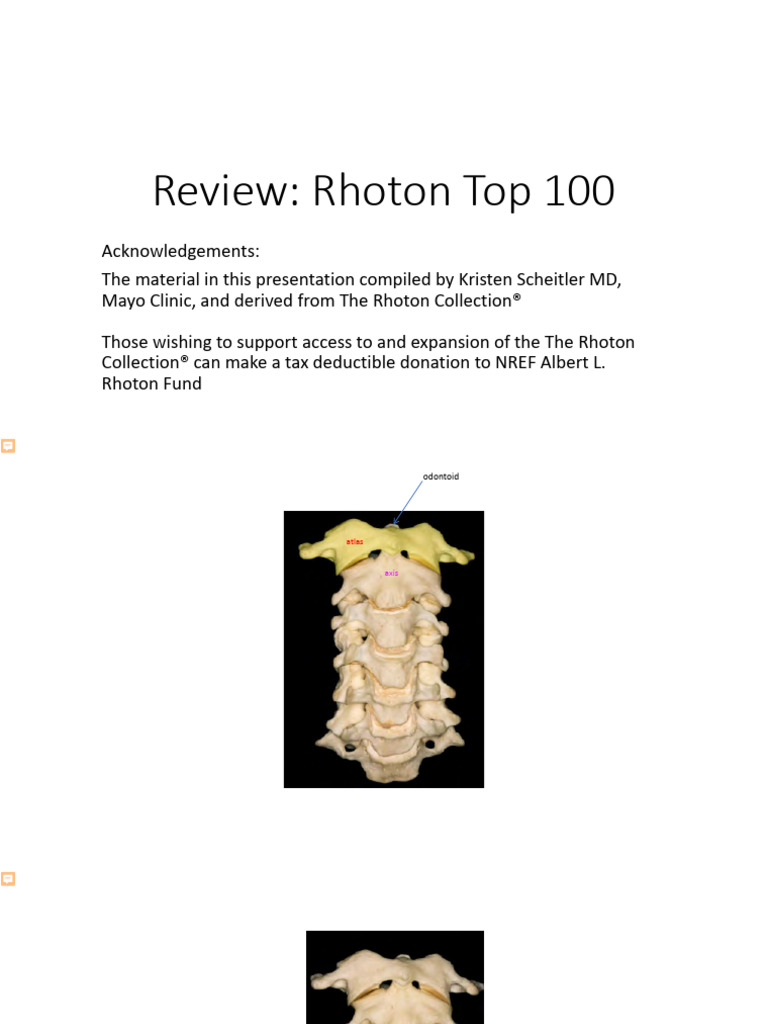 Rhoton Review (Reduced) | PDF | Otorhinolaryngology | Human Anatomy