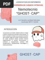Cuadro GHOST CAP | PDF