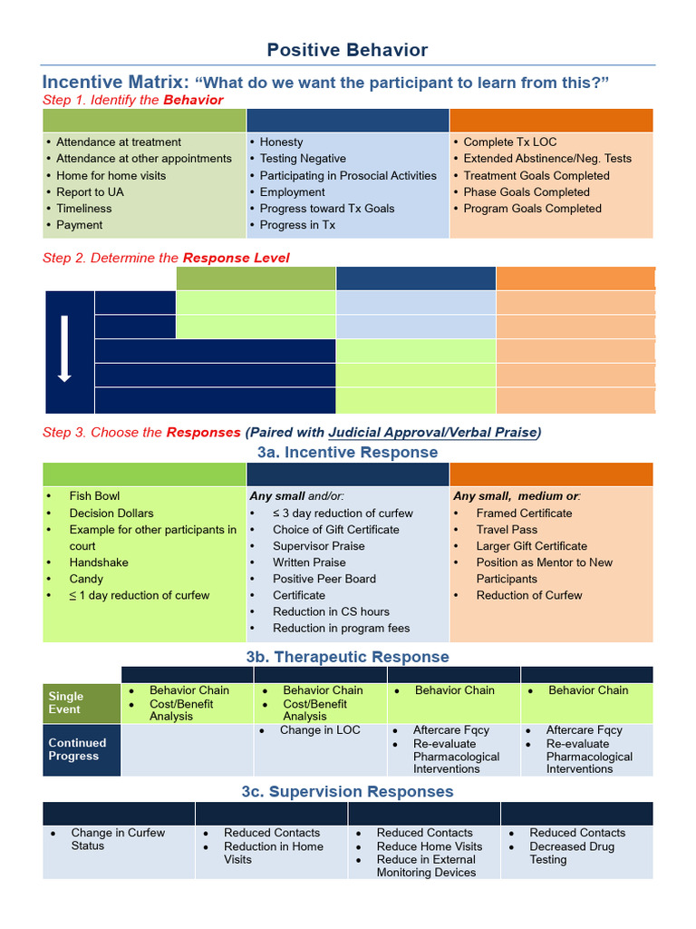 Incentives and Sanctions Matrix | PDF