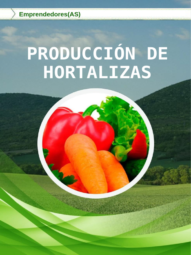 Hortalizas | PDF | Vegetales | Riego