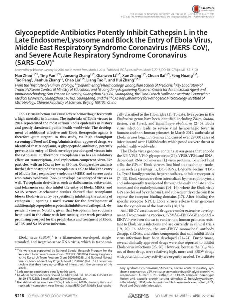 Glycopeptide Antibiotics Block Virus Entry | PDF | Medical Specialties ...