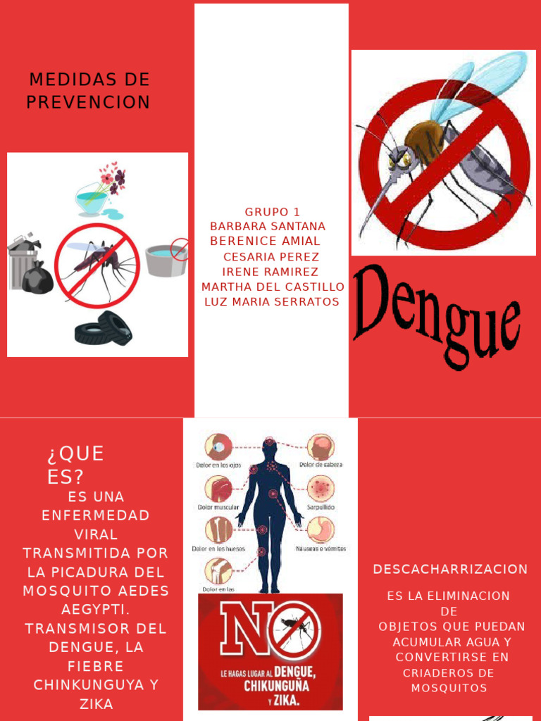 Prevención del Dengue: Medidas Clave | PDF