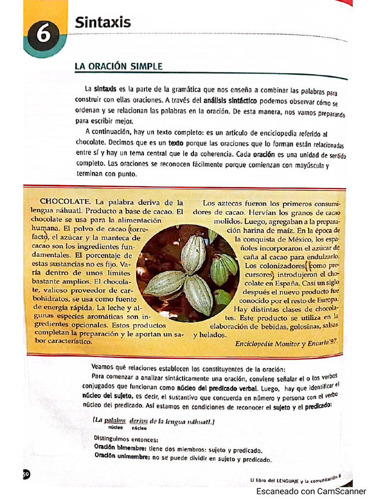 Sintaxis | PDF