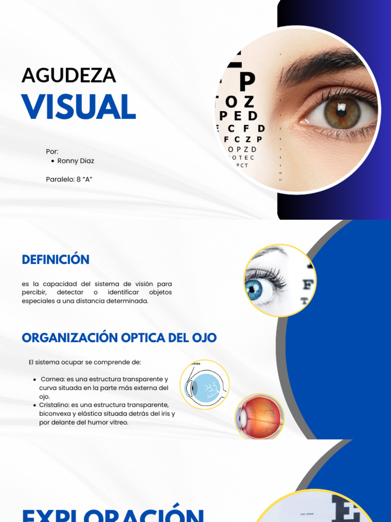 Agudeza Visual | PDF | Ojo humano | Percepción visual
