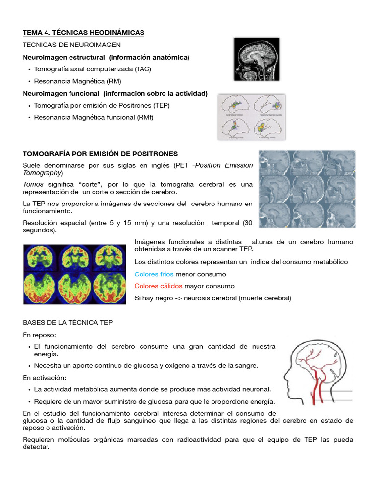 T4 Psicofisiología | PDF | Neuroimagen | Tomografía de emisión de ...