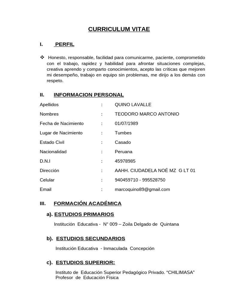 Curriculum - Quino Lavalle 2024 | PDF