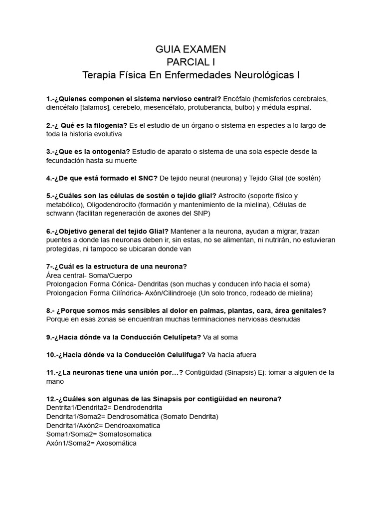 Guia Examen Neuro Pt3 | PDF | Médula espinal | Cerebro