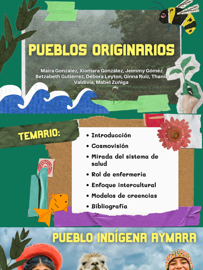 Pueblos Originarios | PDF | Rituales | Medicina