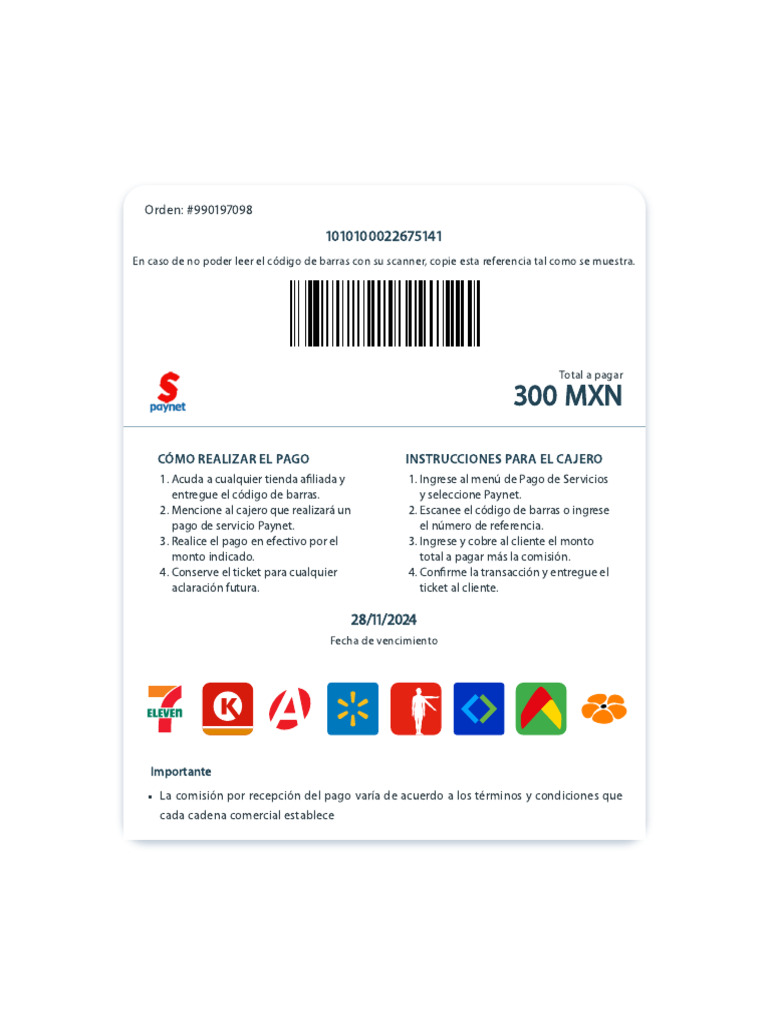 Paynet - Checkout | PDF