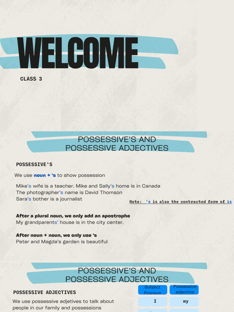 Understanding Possessives and Adjectives | PDF