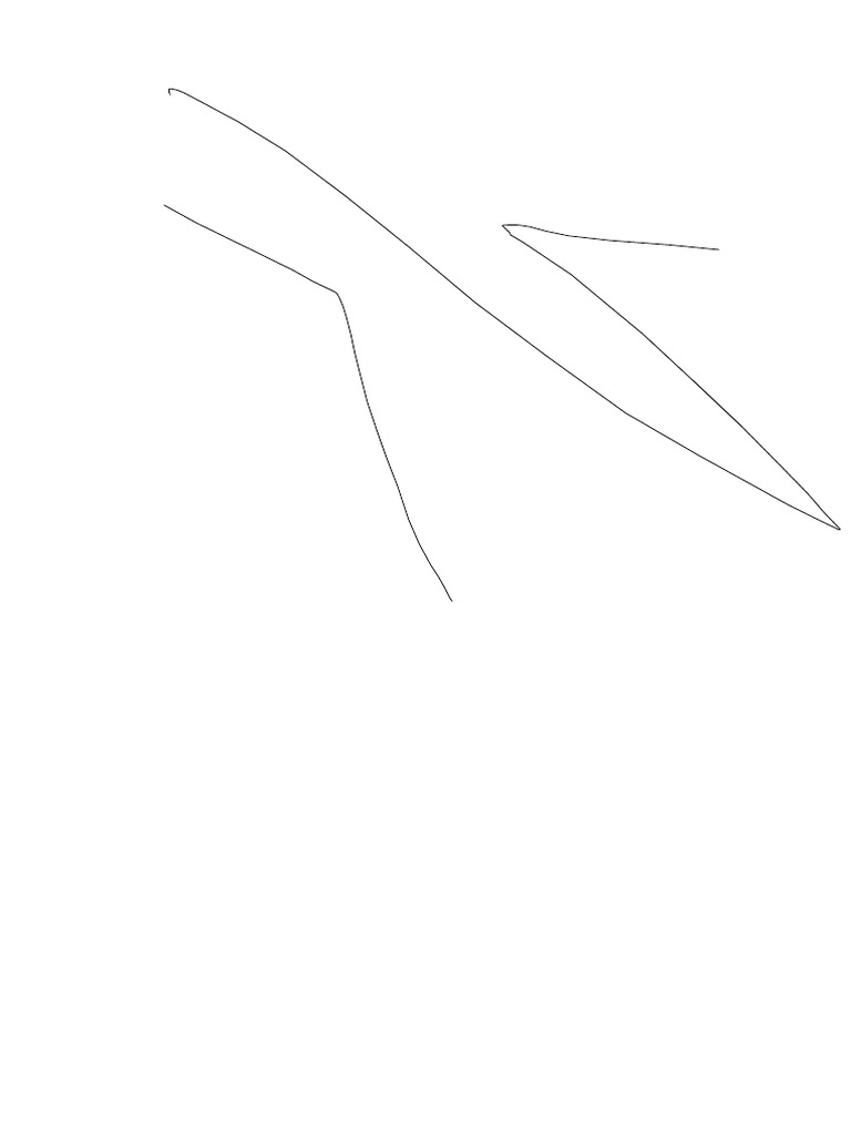 Kami Export - Blank | PDF