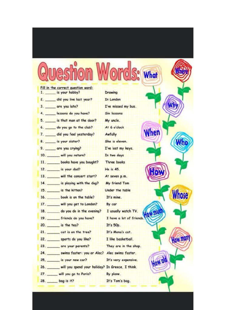 Question Words | PDF