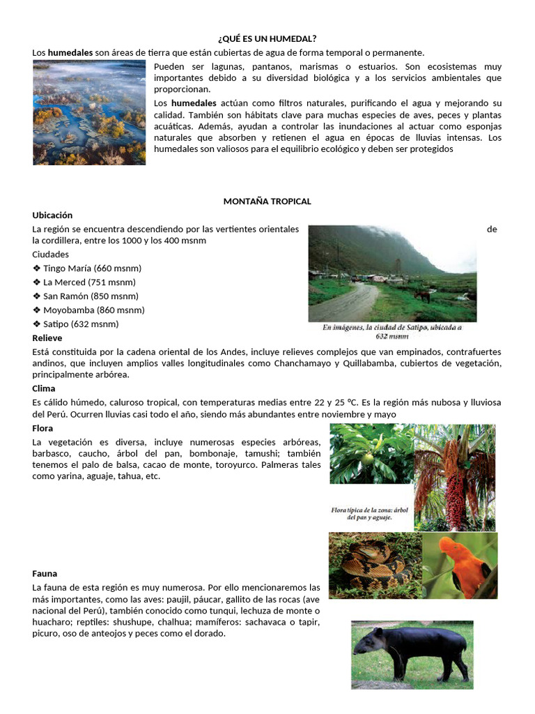 Que Es Un Humedal | PDF