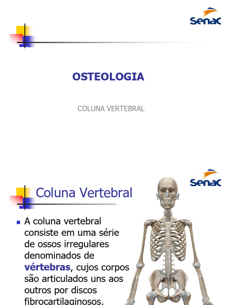Estrutura e Funções da Coluna Vertebral | PDF | Coluna vertebral ...